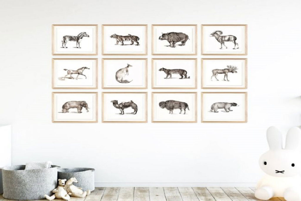 Natural Curiosities - Company D