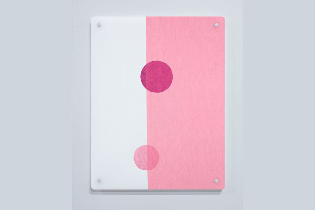 Natural Curiosities - Company D